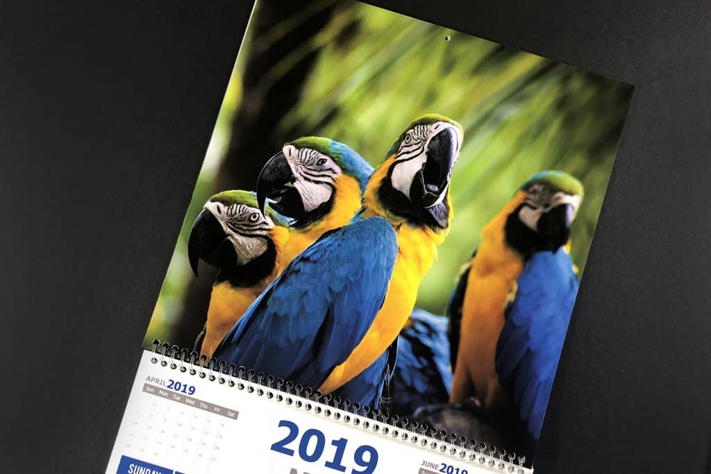 2019 Animal Print Calendar