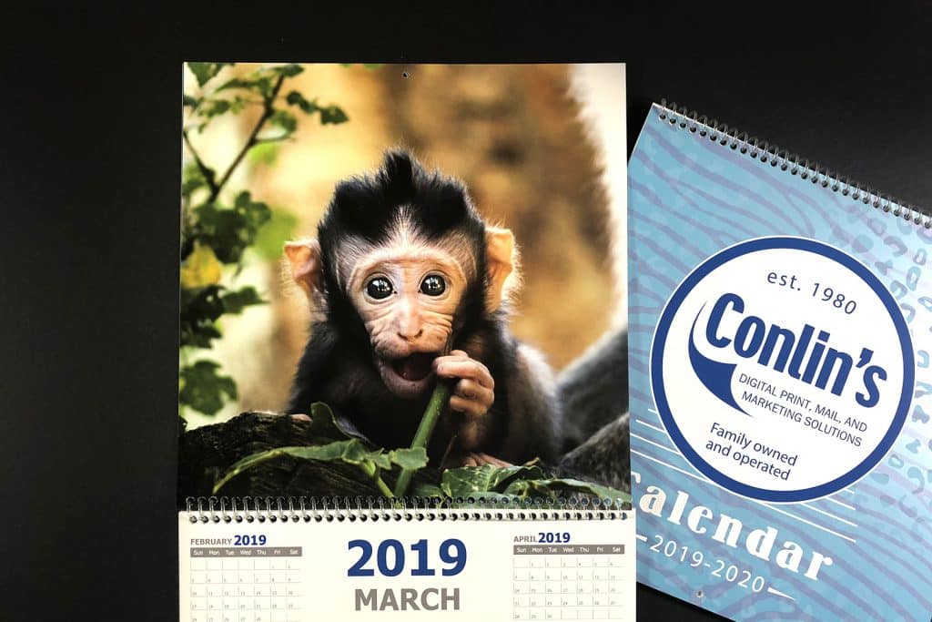 2019 Animal Print Calendar